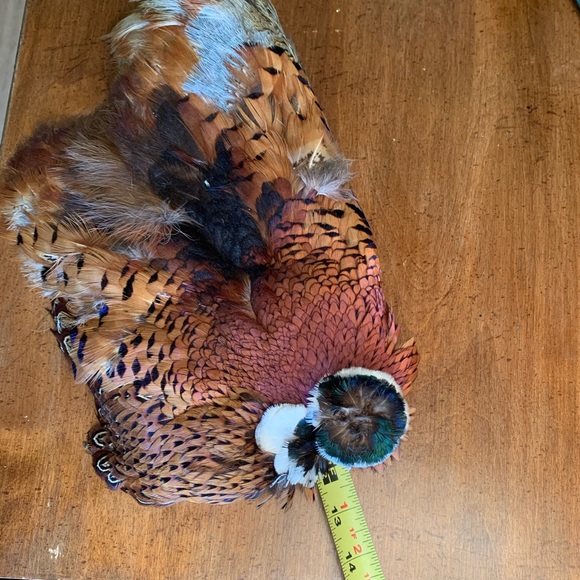 pheasant | Wall Decor | Ringneck Pheasant Feather Mount Display ...